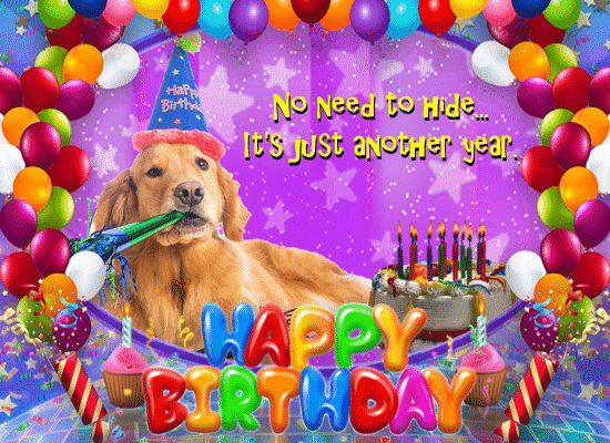 No Need To Hide Free Funny Birthday Wishes ECards Greeting Cards 