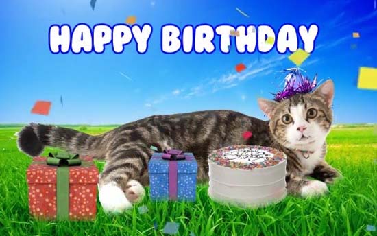 Happy Birthday With A Singing Cat Free Happy Birthday ECards 123 