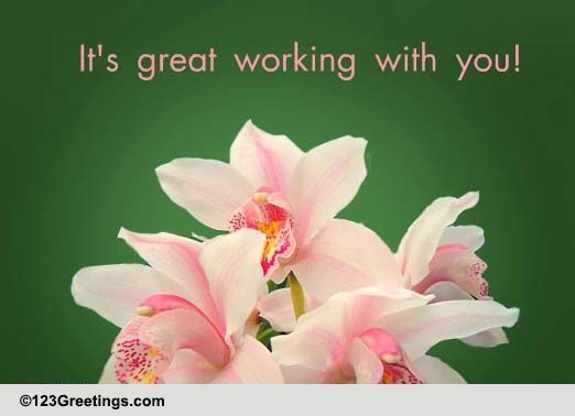 Beautiful Flowers! Free Appreciation & Encouragement eCards | 123 Greetings