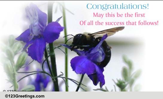 May Success Follow You! Free Business & Workplace eCards | 123 Greetings