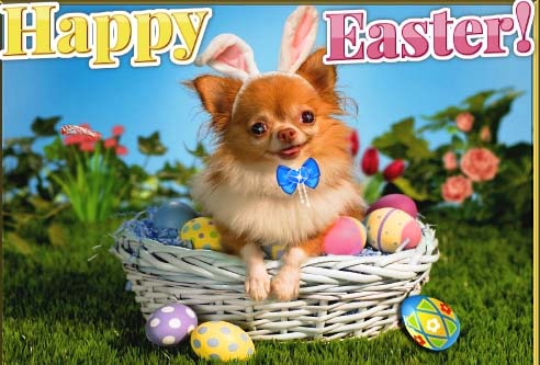 Easter Dog. Free Fun eCards, Greeting Cards | 123 Greetings