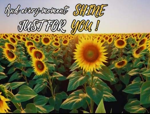 Send Joyful Wishes Free National Sunflower Day eCards, Greeting Cards ...