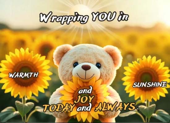 A Sunflower Hug For Someone You Care Free National Sunflower Day eCards ...