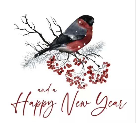 Beautiful Birds Merry Christmas Card Free Merry Christmas Wishes eCards | 123 Greetings