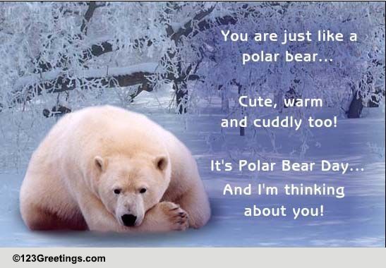 Cute Warm And Cuddly Free Polar Bear Day Ecards Greeting Cards