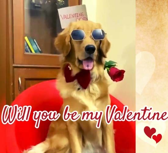 Will You Be My Valentine Ecard Free Be My Valentine Ecards 123 Greetings