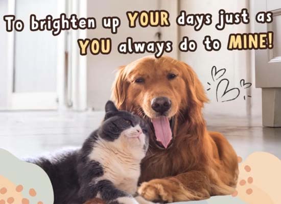 Hugs From Me To You On Cuddle Up Day. Free Cuddle Up Day eCards | 123 ...