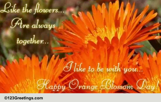 Orange Blossom Day Fun... Free Orange Blossom Day eCards, Greeting ...