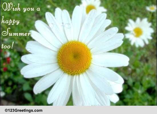 Warm Summer Thank You Wish. Free Thank You eCards, Greeting Cards | 123 ...