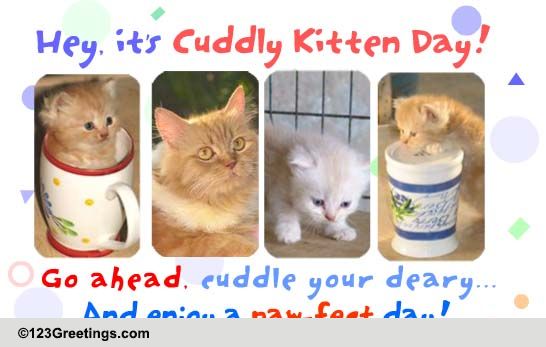 Paw-fect Day! Free Cuddly Kitten Day eCards, Greeting Cards | 123 Greetings