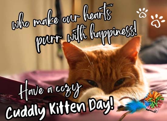 Wishing You Soft Cuddles. Free Cuddly Kitten Day eCards, Greeting Cards ...