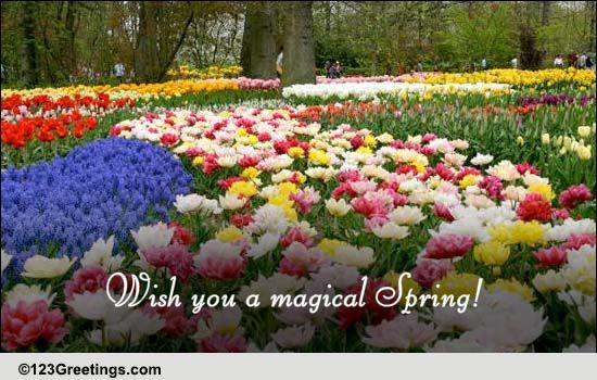 Magical Spring! Free Magic of Spring eCards, Greeting Cards | 123 Greetings