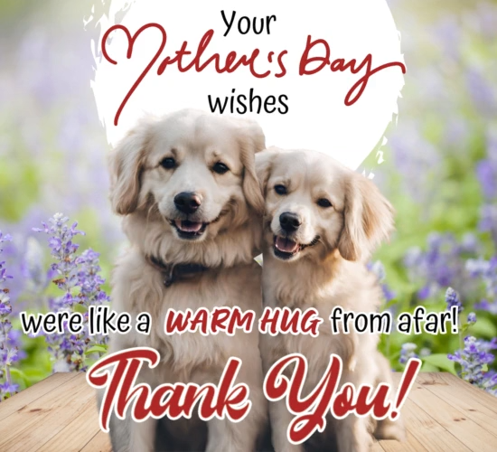 Adorable Thank You On Mother’s Day. Free Thank You eCards | 123 Greetings