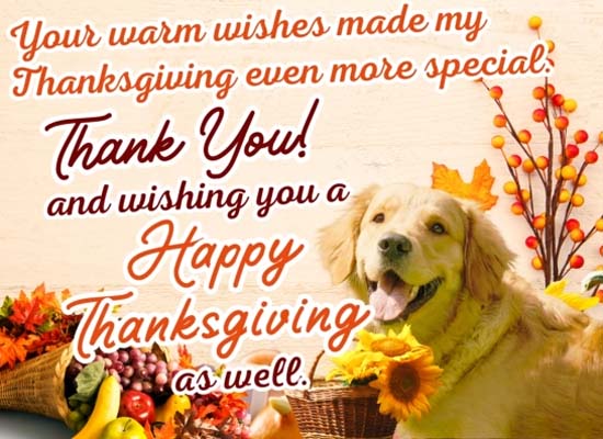 Perfect Thanksgiving Thank You Wishes. Free Thank You eCards | 123 ...