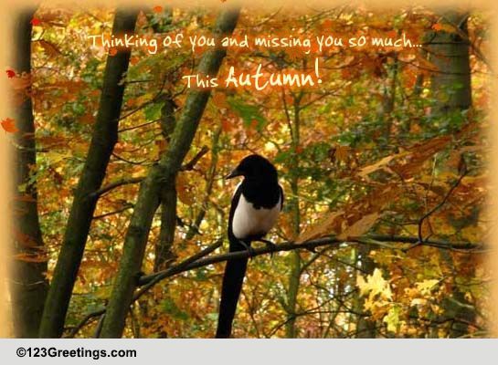Thinking Of You This Autumn... Free Miss You eCards, Greeting Cards ...