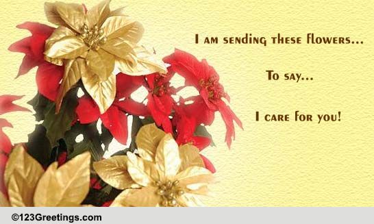 Someone Special! Free For Someone You Care eCards, Greeting Cards | 123 ...