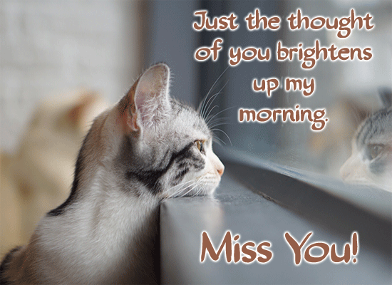Thinking About You... Free Miss You eCards, Greeting Cards | 123 Greetings