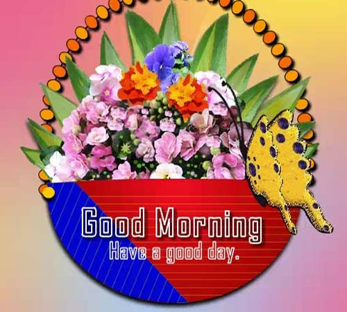 Beautiful Flower Basket. Free Good Morning eCards, Greeting Cards | 123 ...