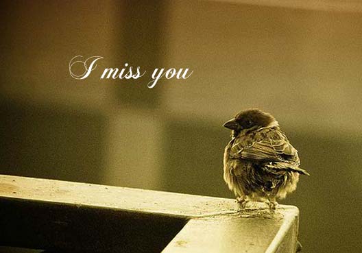 Really Miss You Free Missing Him Ecards Greeting Cards 123 Greetings