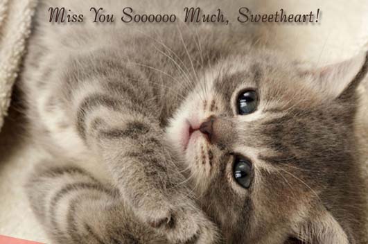Miss You Soooooo Much Sweetheart Free Missing Him Ecards 123 Greetings