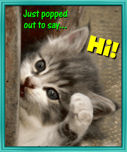 A Cute Kitty Says Hi... Free Hi-hello eCards, Greeting Cards | 123 ... A Cute Kitty Says Hi... Free Hi-hello eCards, Greeting Cards | 123 ...