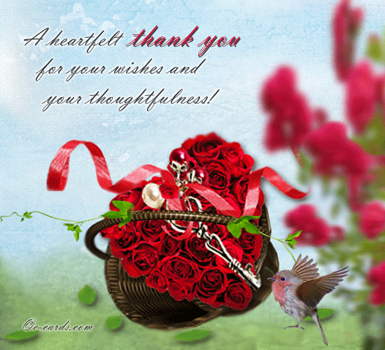 Heartfelt Thank You Free Birthday Thank You ECards Greeting Cards