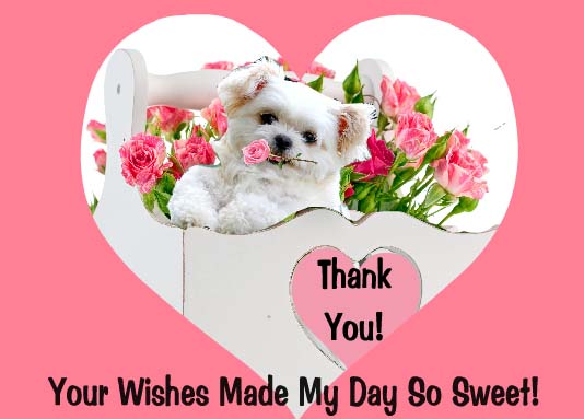 You Made Me Feel Special! Free Birthday Thank You eCards, Greeting ... You Made Me Feel Special! Free Birthday Thank You eCards, Greeting ...