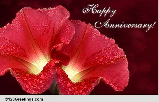 I Wish For You... Free Happy Anniversary eCards, Greeting Cards | 123 ...