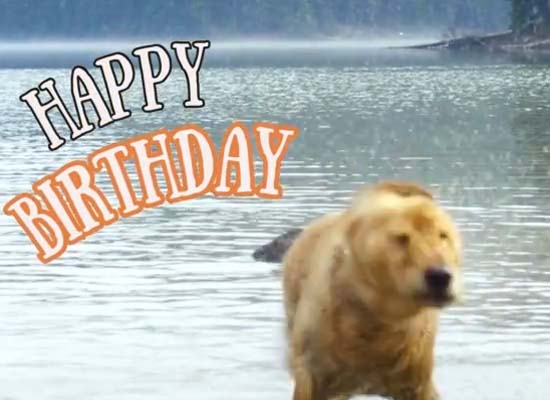 Free Birthday eCards - Send Happy Birthday Cards Online | 123 Greetings