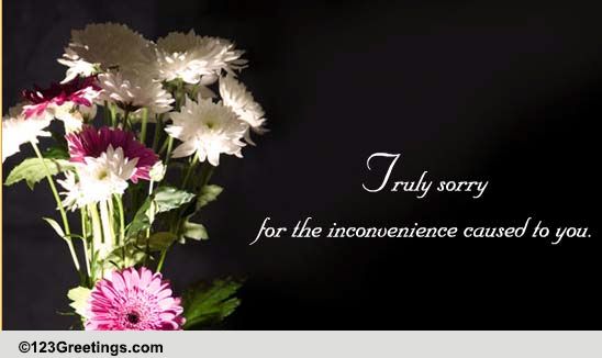 Truly Sorry... Free Apologies eCards, Greeting Cards | 123 Greetings