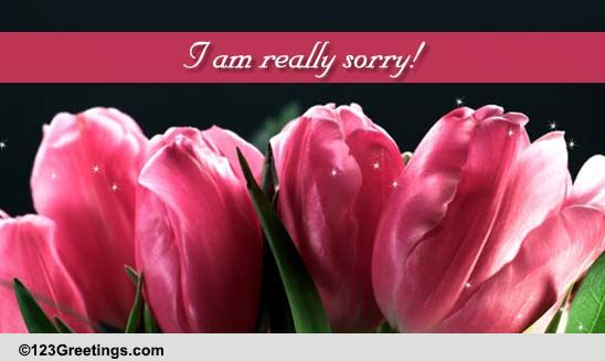 I Am Really Sorry. Free Apologies eCards, Greeting Cards | 123 Greetings