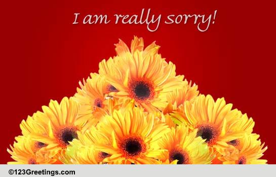 A Heartfelt Apology! Free Apologies eCards, Greeting Cards | 123 Greetings