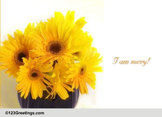 My Apologies... Free Apologies eCards, Greeting Cards | 123 Greetings