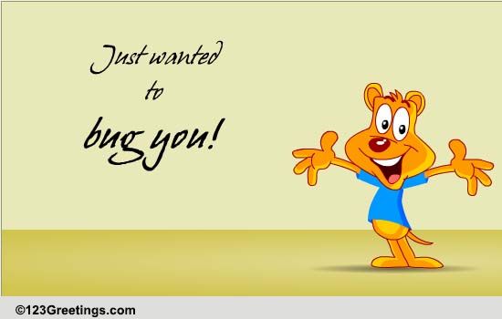 Just Wanted To Bug You... Free Humor eCards, Greeting Cards | 123 Greetings