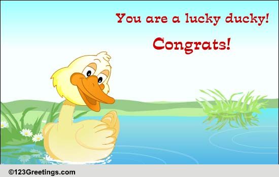 Congrats You Lucky Ducky! Free For Everyone eCards, Greeting Cards ...