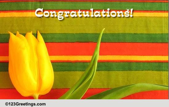 Many Congratulations... Free For Everyone eCards, Greeting Cards | 123 ...