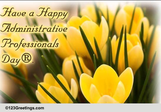 'Thank You' Wish For An Admin Pro. Free Thank You eCards, Greeting ...