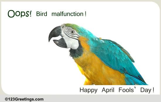 Happy April Fools' Day! Free Fun eCards, Greeting Cards | 123 Greetings