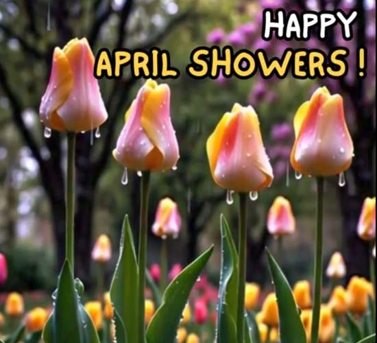 A Little Rain And Lot Of Joy. Free April Showers Day eCards | 123 Greetings
