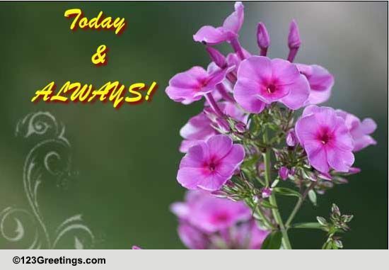Beautiful August Flowers! Free August Flowers eCards, Greeting Cards ...