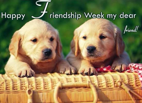 Our Silent Bond Of Friendship! Free Friendship Week eCards | 123 Greetings