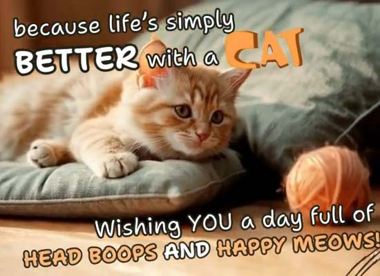 Send Cat Day Joy To A Cat Lover Free International Cat Day eCards | 123 ...
