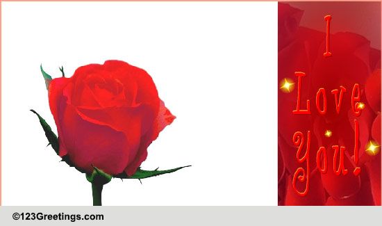A Red Rose... Free Just Because Day eCards, Greeting Cards | 123 Greetings