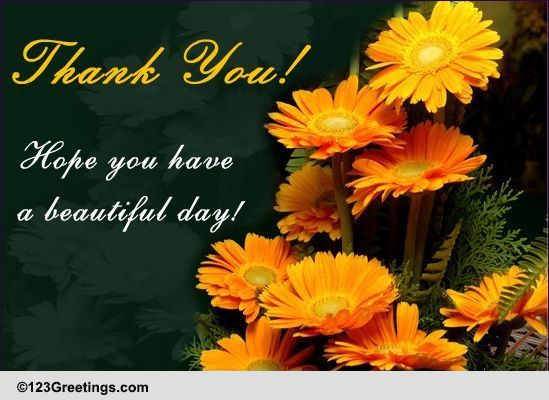 Warm Wish On Thank You Day. Free Thank You Day eCards, Greeting Cards ...