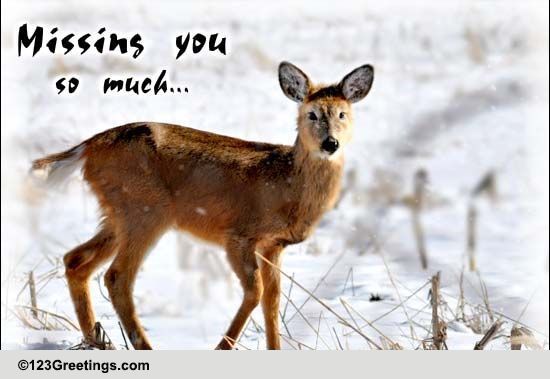 Missing You So Much, This Winter. Free Miss You eCards, Greeting Cards ...