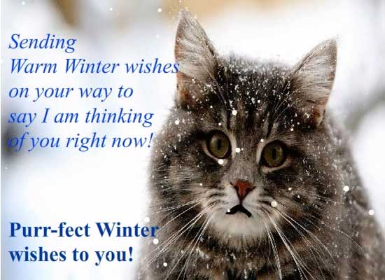 Purr-Fect Winter Wishes To You! Free Happy Winter eCards, Greeting ...