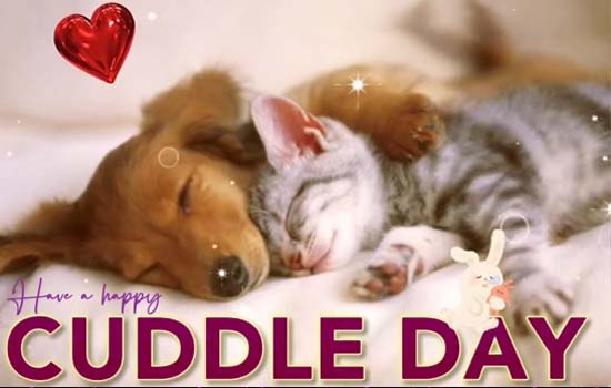 I Love Your Cuddles My Friend. Free Cuddle Day eCards, Greeting Cards ...