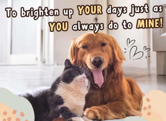 Cuddly Hugs For You On Cuddle Day. Free Cuddle Day eCards | 123 Greetings
