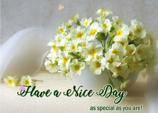 Beautiful February Blooms... Free February Flowers eCards | 123 Greetings