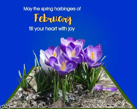Spring Harbingers. Free February Flowers eCards, Greeting Cards | 123 ...